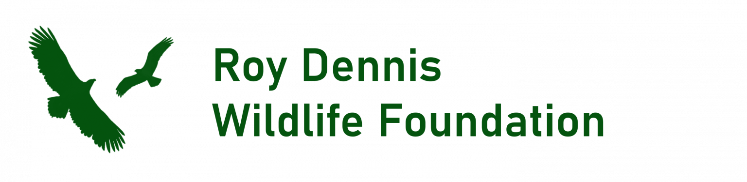 White-tailed Eagle – Roy Dennis Wildlife Foundation